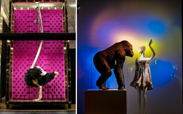 Diseño de escaparates con animales