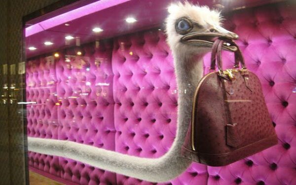 Diseño de escaparates con animales