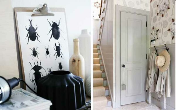 Los insectos en la decoración de interiores