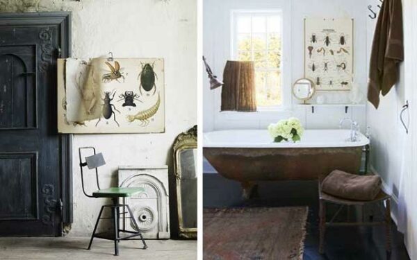 Los insectos en la decoración de interiores